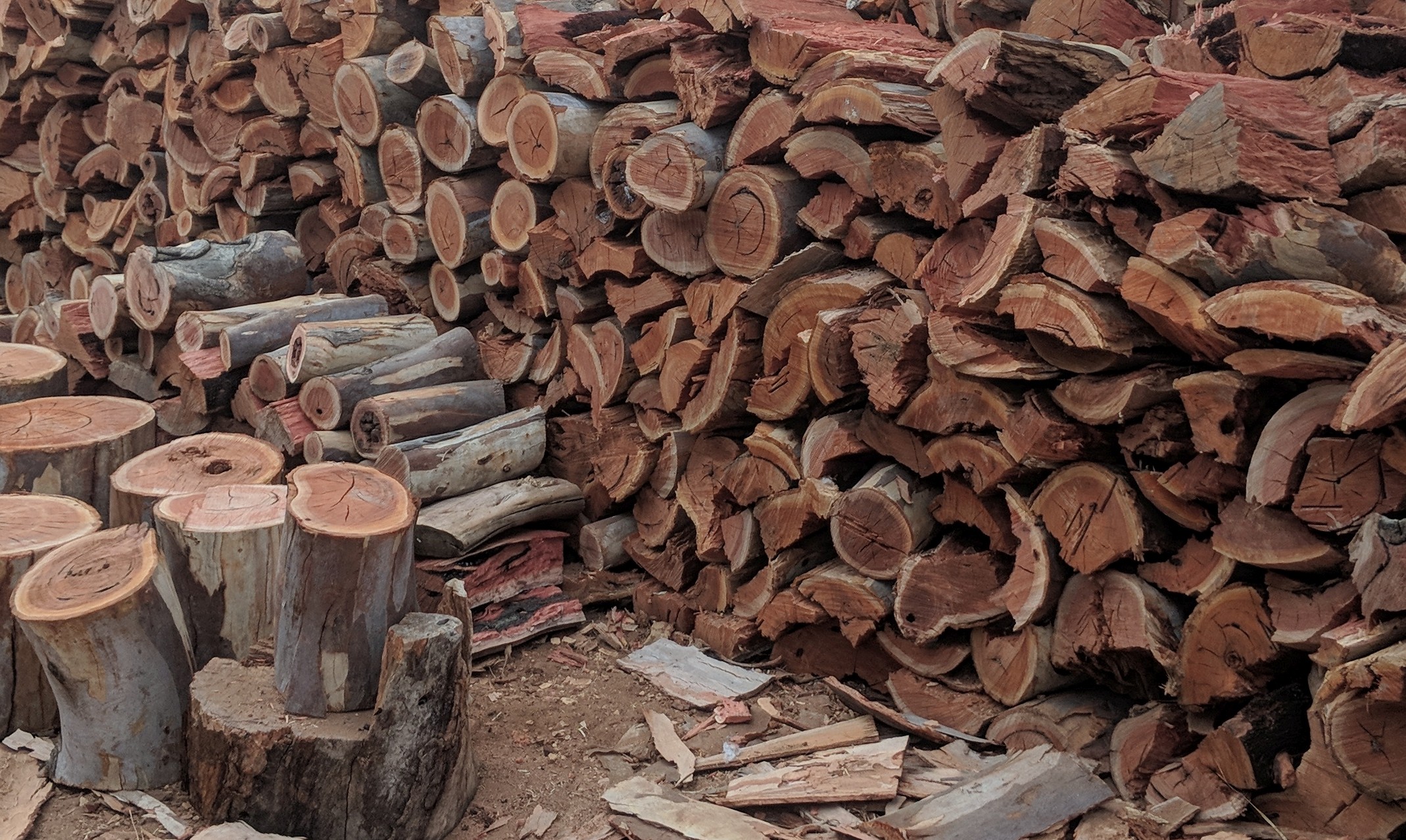 Spring Firewood 2025 - 1089 3WM